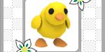 Beli Item Chick - Adopt Me Roblox Terlengkap dan Termurah Juni 2024 ...