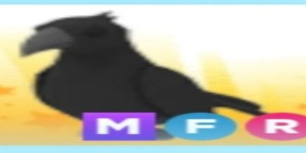 Beli Item MFR Crow Roblox Terlengkap dan Termurah November 2024 1871521 ...