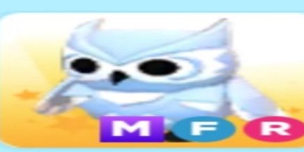 Beli Item MFR Snow Owl Roblox Terlengkap dan Termurah Agustus 2024 ...