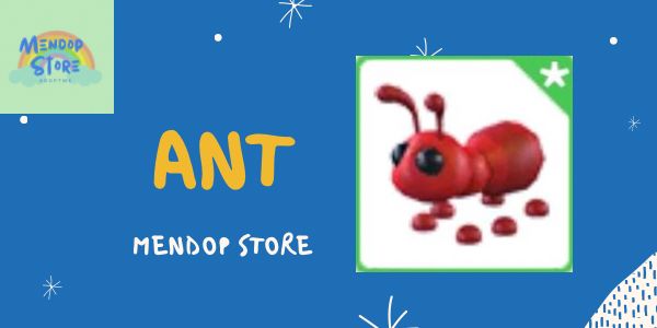 Beli Item Ant (Adoptme Pet) Roblox Terlengkap dan Termurah April 2024 ...
