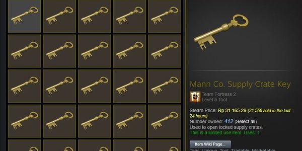 Beli Item Ready Trade Mann Co. Supply Crate Key (TF2 Key / Key TF2 ...