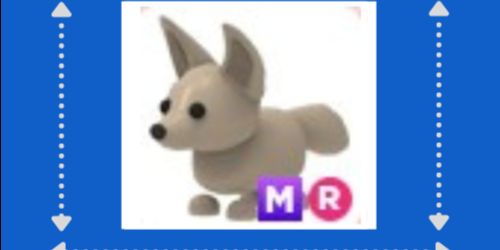 Buy Item MR Fennec Fox | Adopt Me Roblox 1934606 | itemku