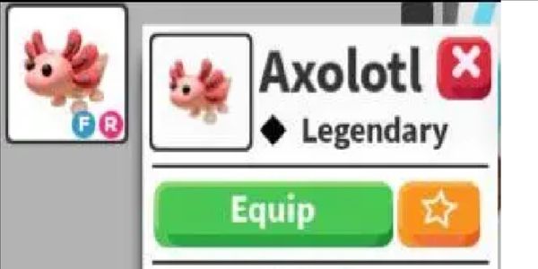 Beli Item Adopt Me FR Axolotl Roblox Terlengkap dan Termurah Agustus ...