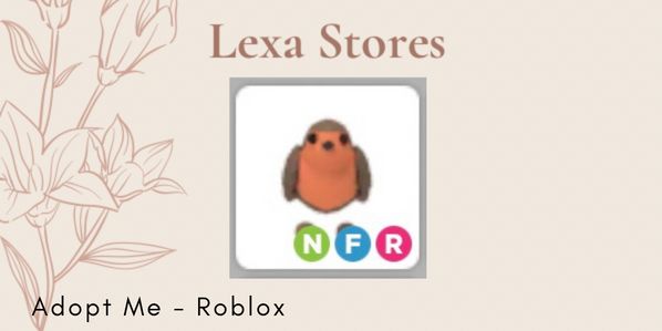 Buy Item NFR Robin | Pet Roblox 1986916 | itemku