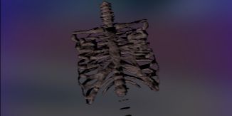 Buy Item Rib Cage - Roblox Is Unbreakable (RIU) Roblox 1989552 | itemku