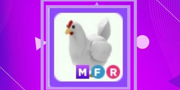 Buy Item MFR Chicken Adoptme Roblox 2012391 | itemku