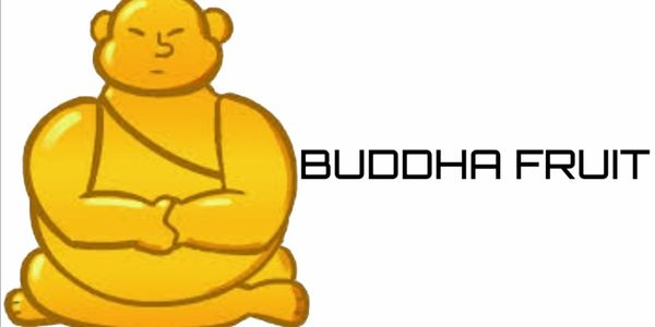 Beli Item buddha fruit - blox fruit Roblox Terlengkap dan Termurah ...