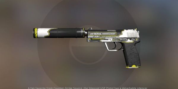 Beli Item Ready Trade USP-S | Torque (Mil-Spec Grade Pistol) Counter ...
