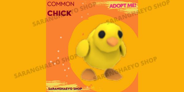 Beli Item CHICK | ADOPT ME Roblox Terlengkap dan Termurah April 2024 ...
