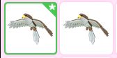 Buy Pet Hawks Adopt Me Trading Hub 1734001 | itemku