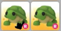 Beli Item R Turtle (Adopt Me) Roblox Terlengkap dan Termurah April 2024 ...