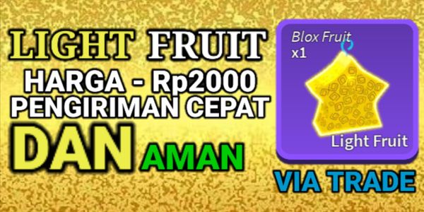 Buy Fruit Light (Elemental) Blox Fruits 2534844 | itemku