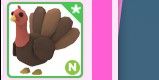 Buy Pet Neon turkey N Adopt Me Trading Hub 1489805 | itemku