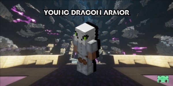 Beli Item Young Dragon Armor Minecraft Terlengkap dan Termurah Januari ...