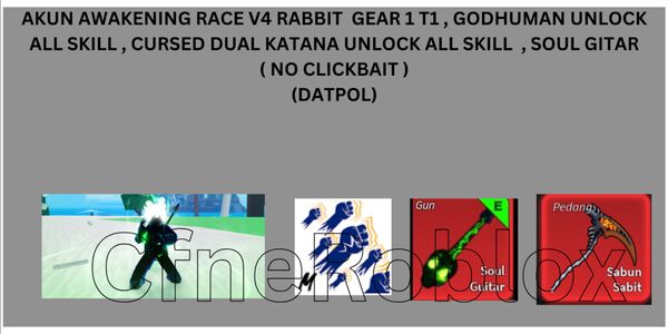 Buy Account Blox Fruit Account Level Max 2450 / Race Awakening V4 ...