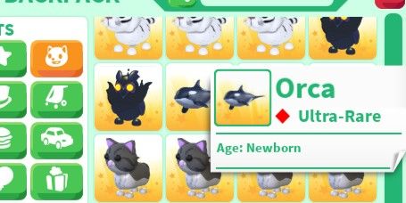 Buy Item ORCA + BONUS (ADOPT ME) Roblox 2565892 | itemku