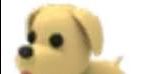Buy Item Dog - Adopt Me Roblox 2172084 | itemku