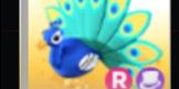 Buy Item R Peacock | Adopt Me | Roblox 2551337 | itemku