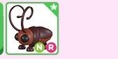 Buy Pet NR Cockroach NR - Adopt me Adopt Me Trading Hub 2597592 | itemku