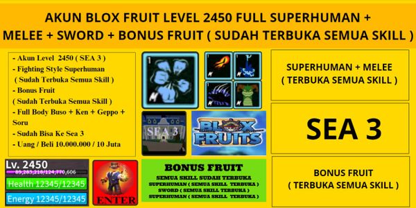 Buy Account Blox Fruit Account Level 2450 Melee + Sword + Bonus Fruit ...