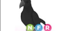 Buy Item Nfr Crow Roblox 2584500 | itemku