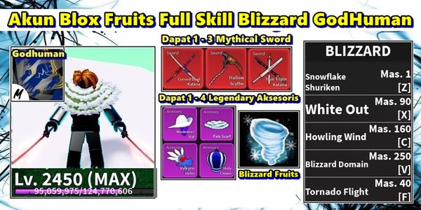 Beli Akun Akun Blox Fruits Level Max Full Skill Blizzard Fruit Mythical ...