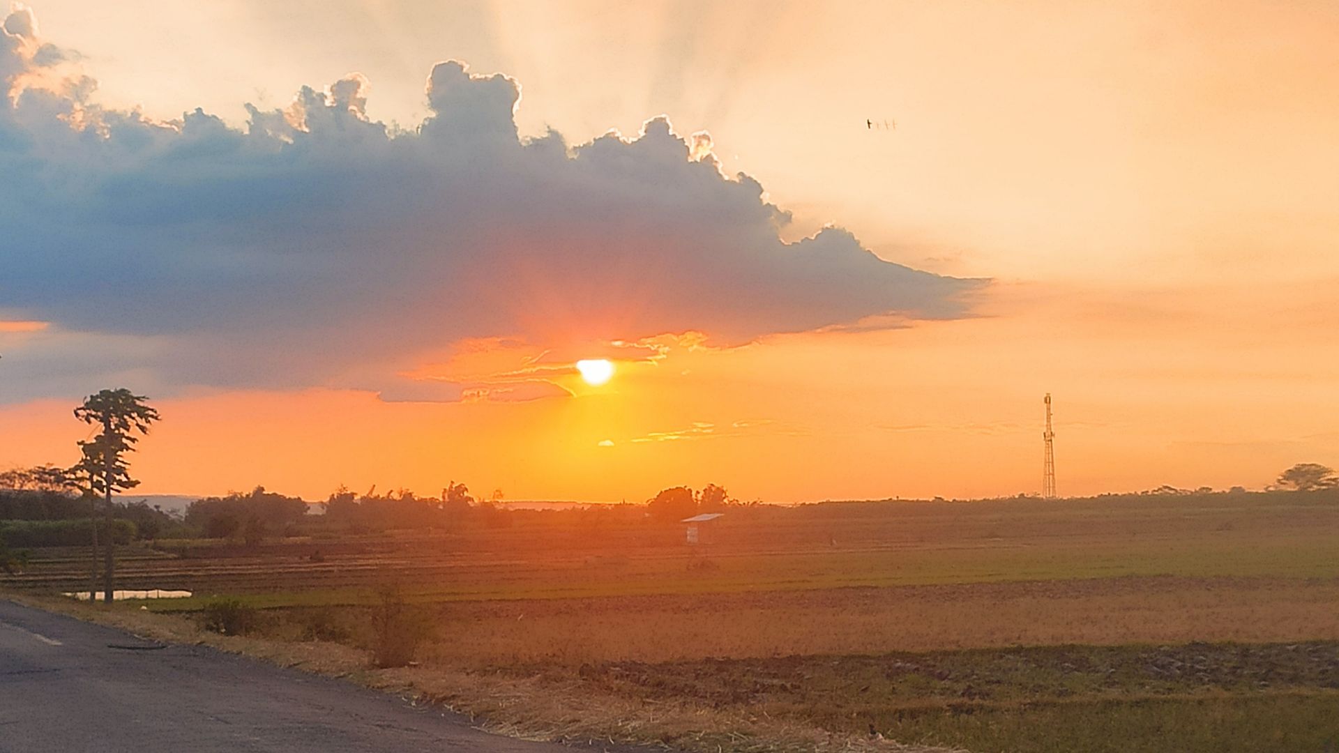 Beli Produk di ATH CELL Terlengkap November 2024 | itemku