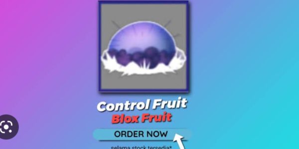 Buy Fruit Control (Natural) Blox Fruits 2224580 | itemku