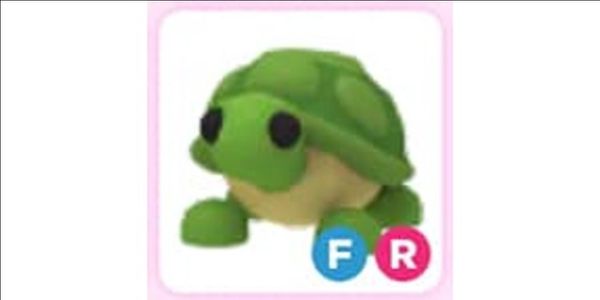 Beli Item Adopt Me Fr Turtle Roblox Terlengkap dan Termurah Maret 2023 ...