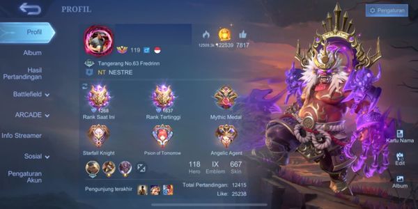 Beli Akun AKUN SULTAN SKIN 667/FULL LEGEND/FULL COLLECTOR/WR GG/HAMPIR ...