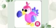Buy Item Dodo R - Adopt Me Roblox 2256917 | itemku