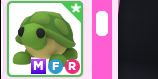 Beli Pet Turtle MFR pet adopt me Adopt Me Roblox Trading Hub Terlengkap ...