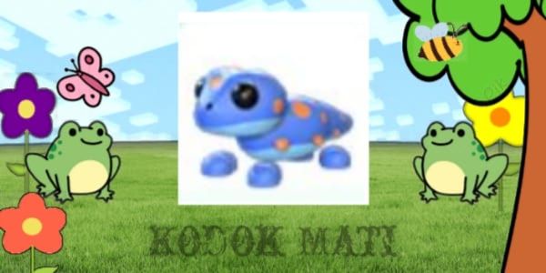 Beli Item Adopt Me Gecko Adopt Me Roblox Terlengkap dan Termurah Maret ...