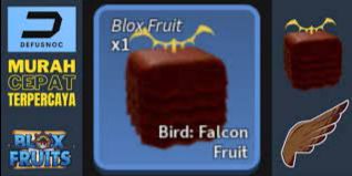 Beli Fruit Bird: Falcon (Beast) Blox Fruits Roblox Terlengkap dan ...