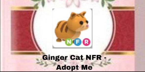 Beli Item Ginger Cat NFR Pet Roblox Terlengkap dan Termurah Oktober ...