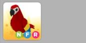 Beli Item Parrot NFR - Adopt Me! Roblox Terlengkap dan Termurah ...