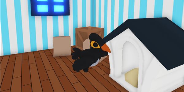 Beli Item Maleo Bird Pet (Adopt Me) Roblox Terlengkap dan Termurah ...