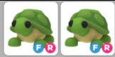 Beli Item FR turtle Roblox Terlengkap dan Termurah Agustus 2024 2362379 ...