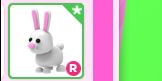 Buy Pet Bunny R pet adopt me Adopt Me Trading Hub 759456 | itemku