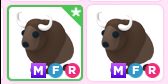 Buy Pet Buffalo MFR pet adopt me Adopt Me Trading Hub 859301 | itemku