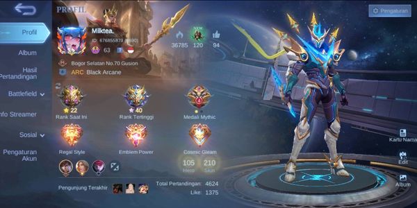 Buy Skin S.T.U.N. Selena (Epic Skin Selena) Mobile Legends 2400023 | itemku