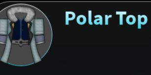 Buy Item Polar Top | Project Slayer RBL 2369095 | itemku