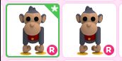 Beli Pet Toy Monkey R pet adopt me Adopt Me Roblox Trading Hub ...