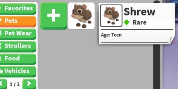 Buy Item Pensi! Normal Shrew | Adopt Me! Roblox 2423980 | itemku