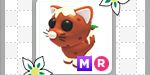 Buy Item MR Pudding Cat - Adopt Me Roblox 2404837 | itemku