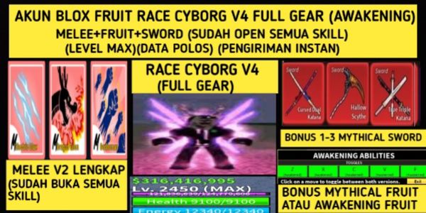 Beli Akun Akun Blox Fruit Race Cyborg V4 T10 Full Gear (Awakening ...