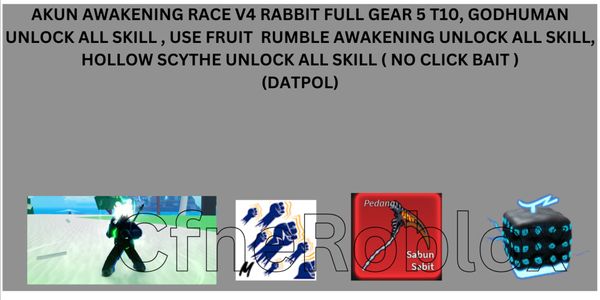 Buy Account Blox Fruit Account Max Level 2450, Race Awakening V4 Rabbit ...