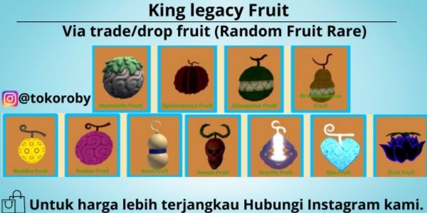 Buy Item Rare fruit (King legacy) Roblox 2486206 | itemku