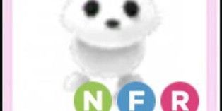 Beli Pet NFR Arctic Fox adopt me Adopt Me Trading Hub Terlengkap dan ...