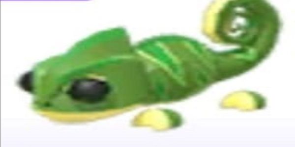 Buy Pet CHAMELEON - ADOPT ME Adopt Me Trading Hub 3009531 | itemku